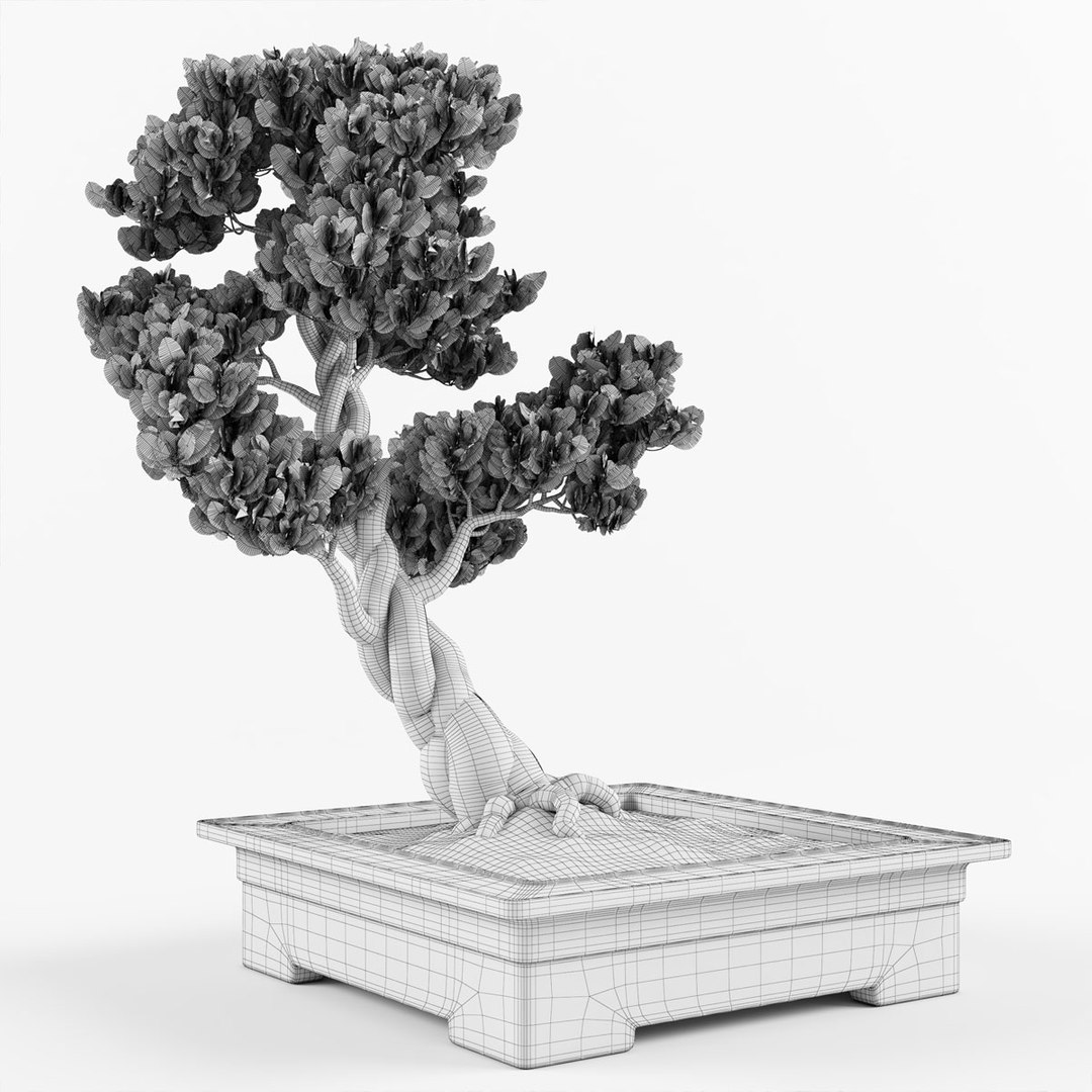 Bonsai Decorative Tree 3D Model - TurboSquid 1614634