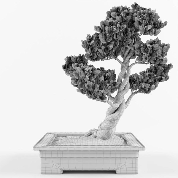 Bonsai decorative tree 3D model - TurboSquid 1614634