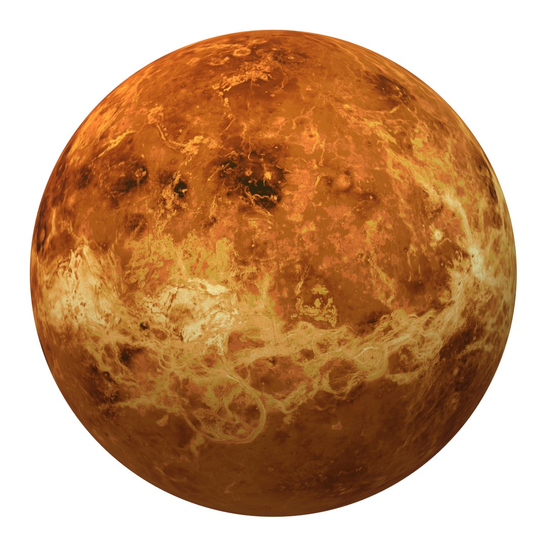 Venus 3D Model - TurboSquid 2299598