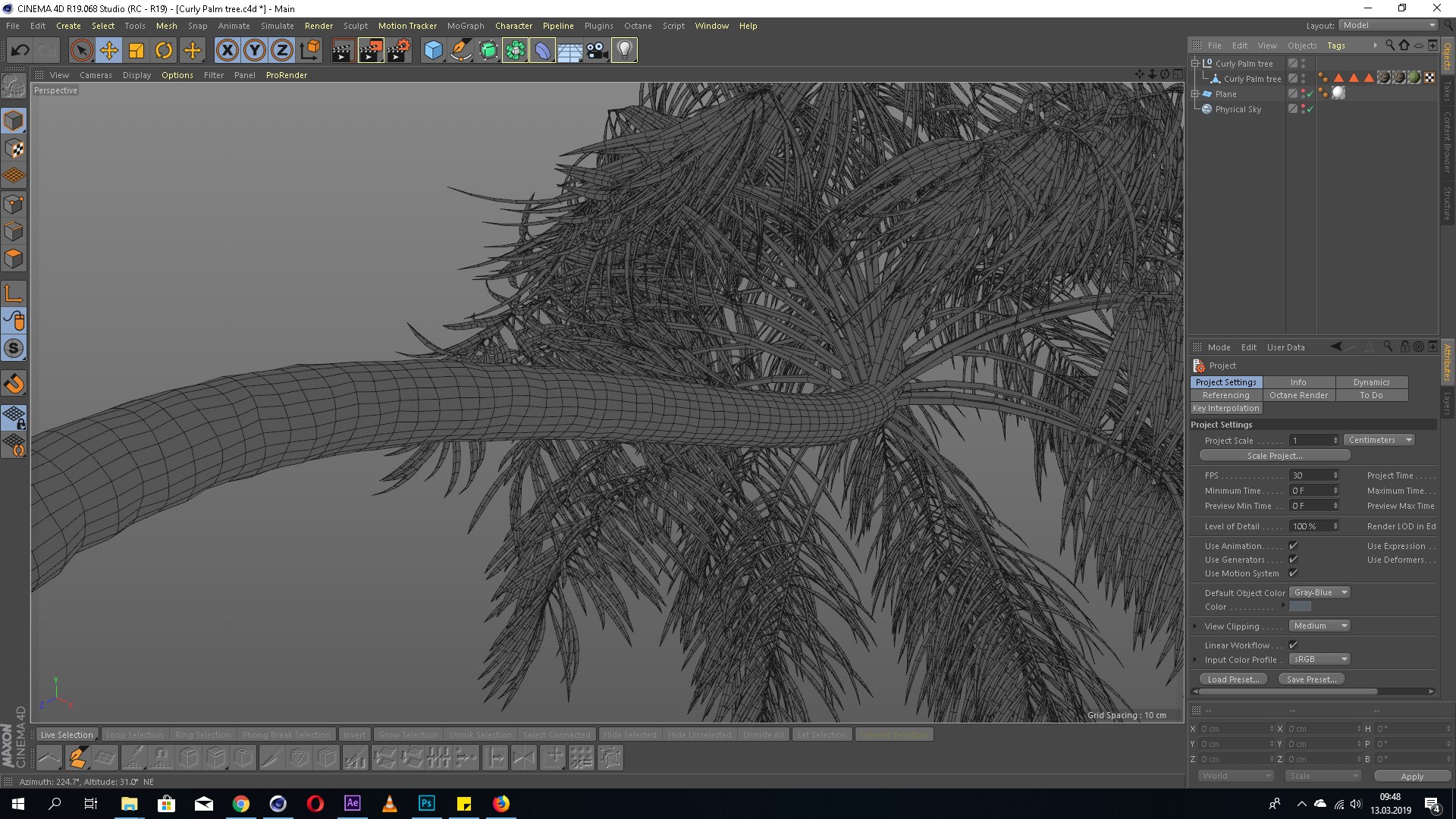 3D Curly Palm Tree Model - TurboSquid 1386660