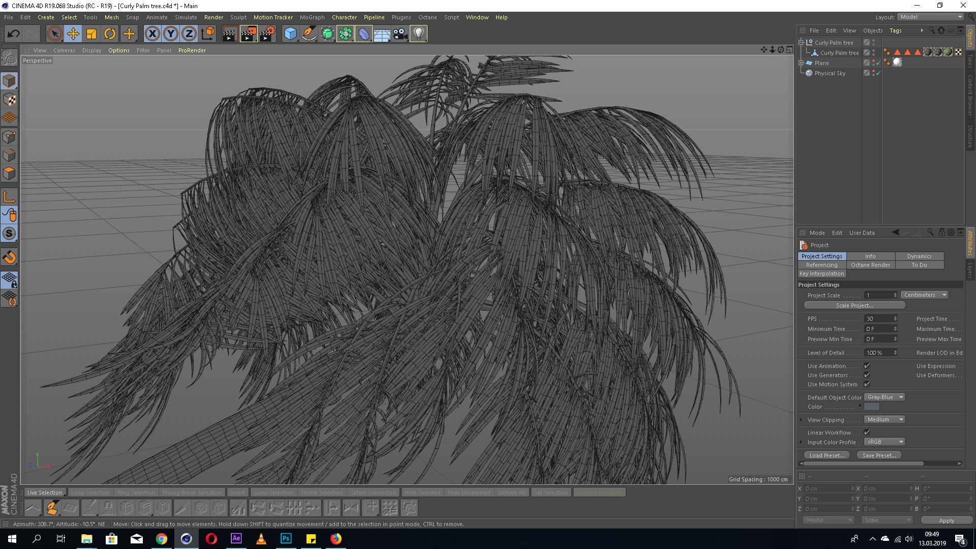 3D Curly Palm Tree Model - TurboSquid 1386660
