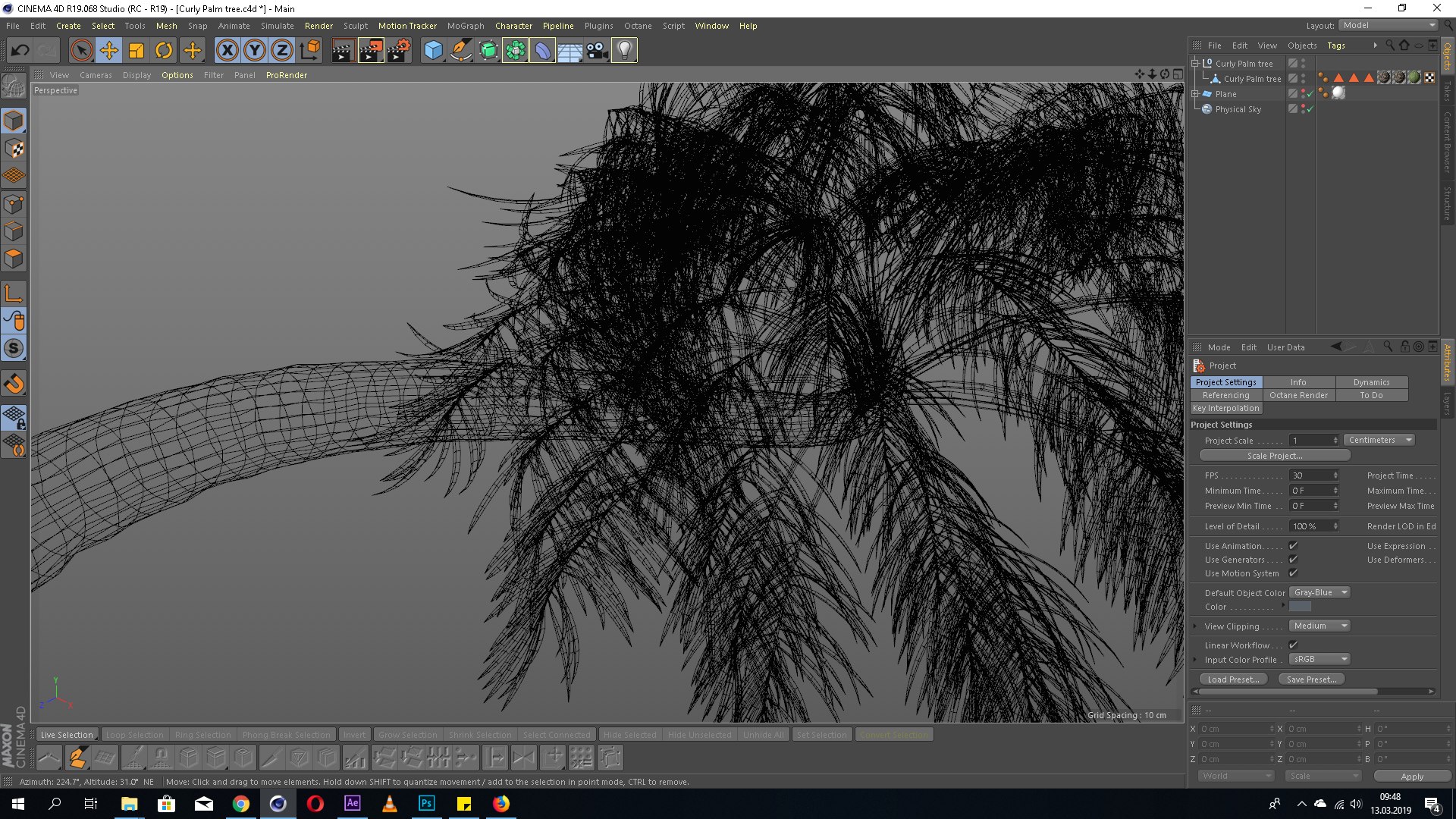 3D Curly Palm Tree Model - TurboSquid 1386660