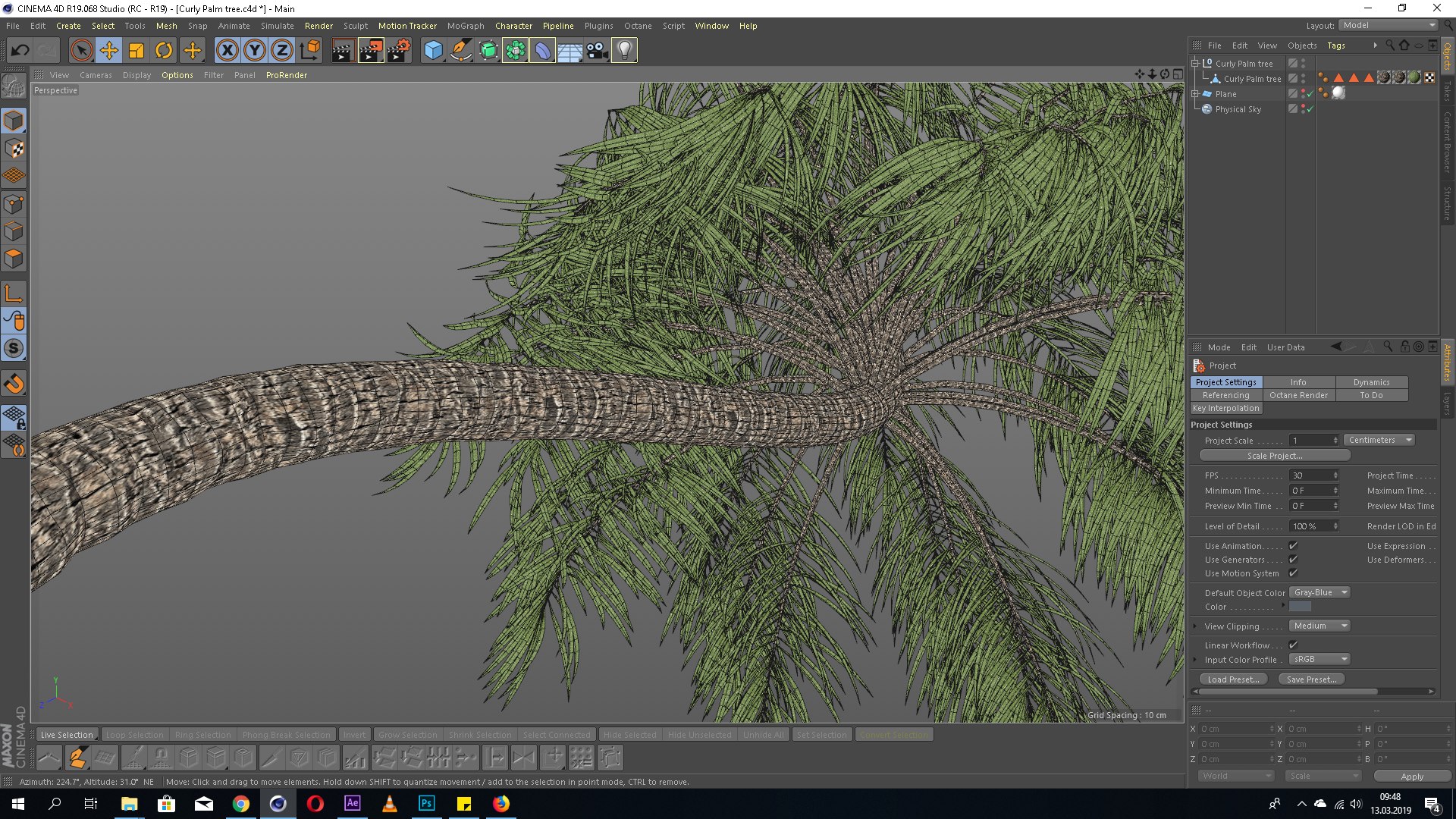 3D Curly Palm Tree Model - TurboSquid 1386660