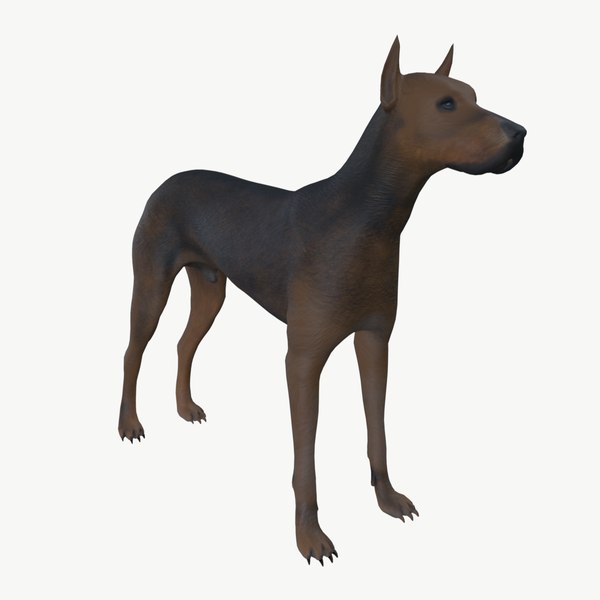 modelo 3d Perro marrón - TurboSquid 2330845
