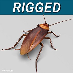 Download Free & Premium Cockroach 3D Models | TurboSquid