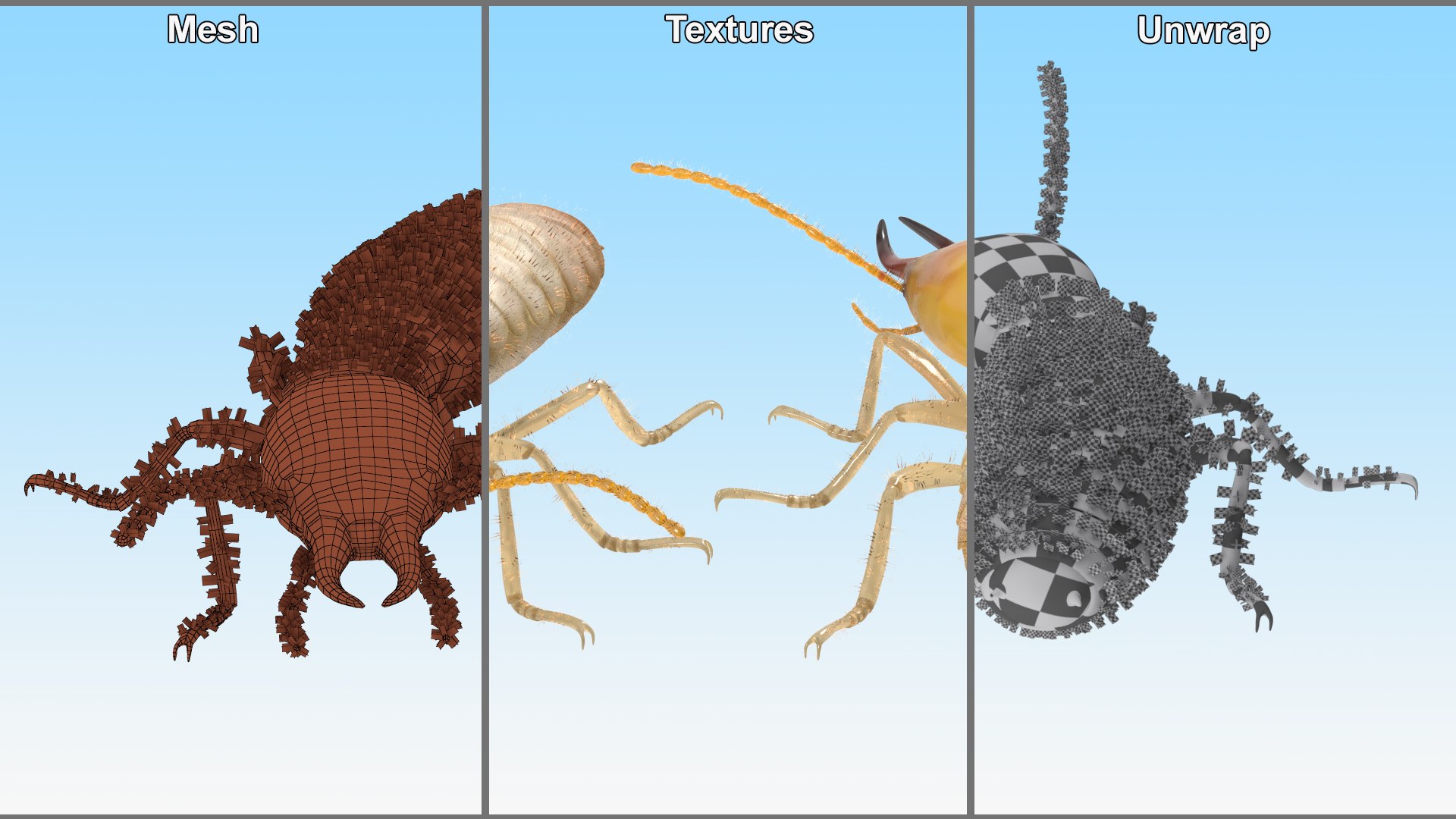 3D Model Termite In Creeping Pose - TurboSquid 2328233