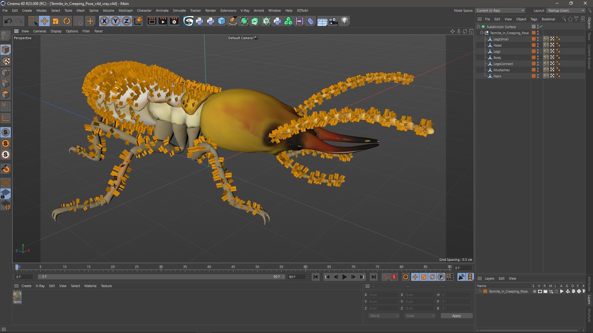 3D Model Termite In Creeping Pose - TurboSquid 2328233