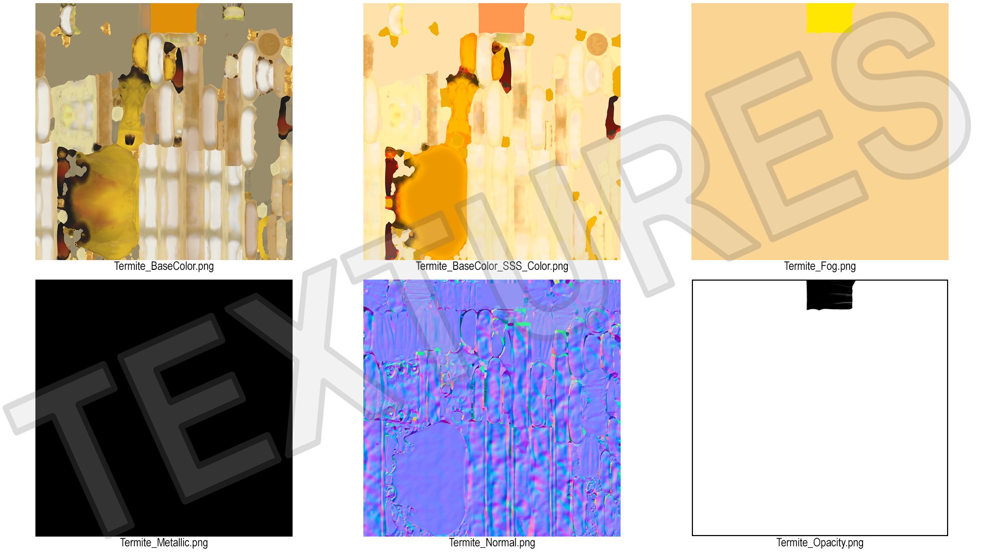 3D Model Termite In Creeping Pose - TurboSquid 2328233