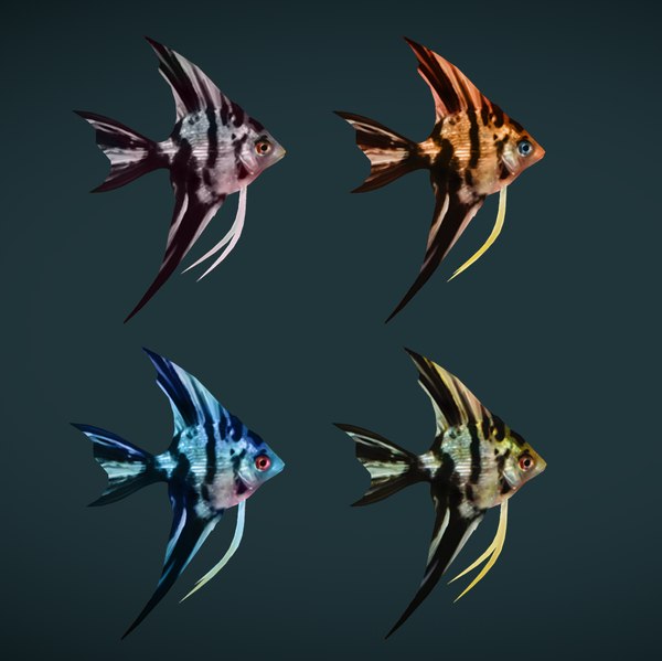 Blue angel fish 3D model - TurboSquid 1244594