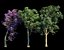 Spring Trees Pack 3D - TurboSquid 1551278