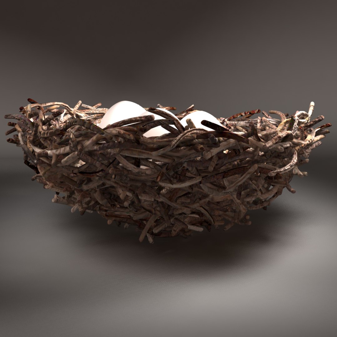 3D Bird Nest - TurboSquid 1160521