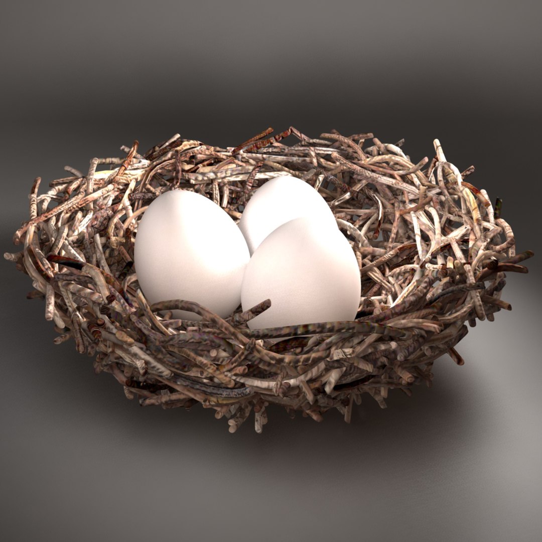 3D Bird Nest - TurboSquid 1160521