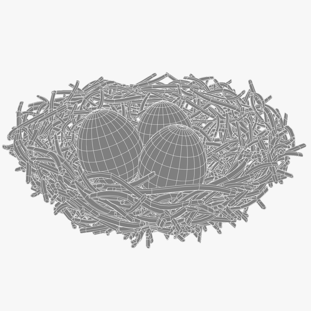 3D Bird Nest - TurboSquid 1160521