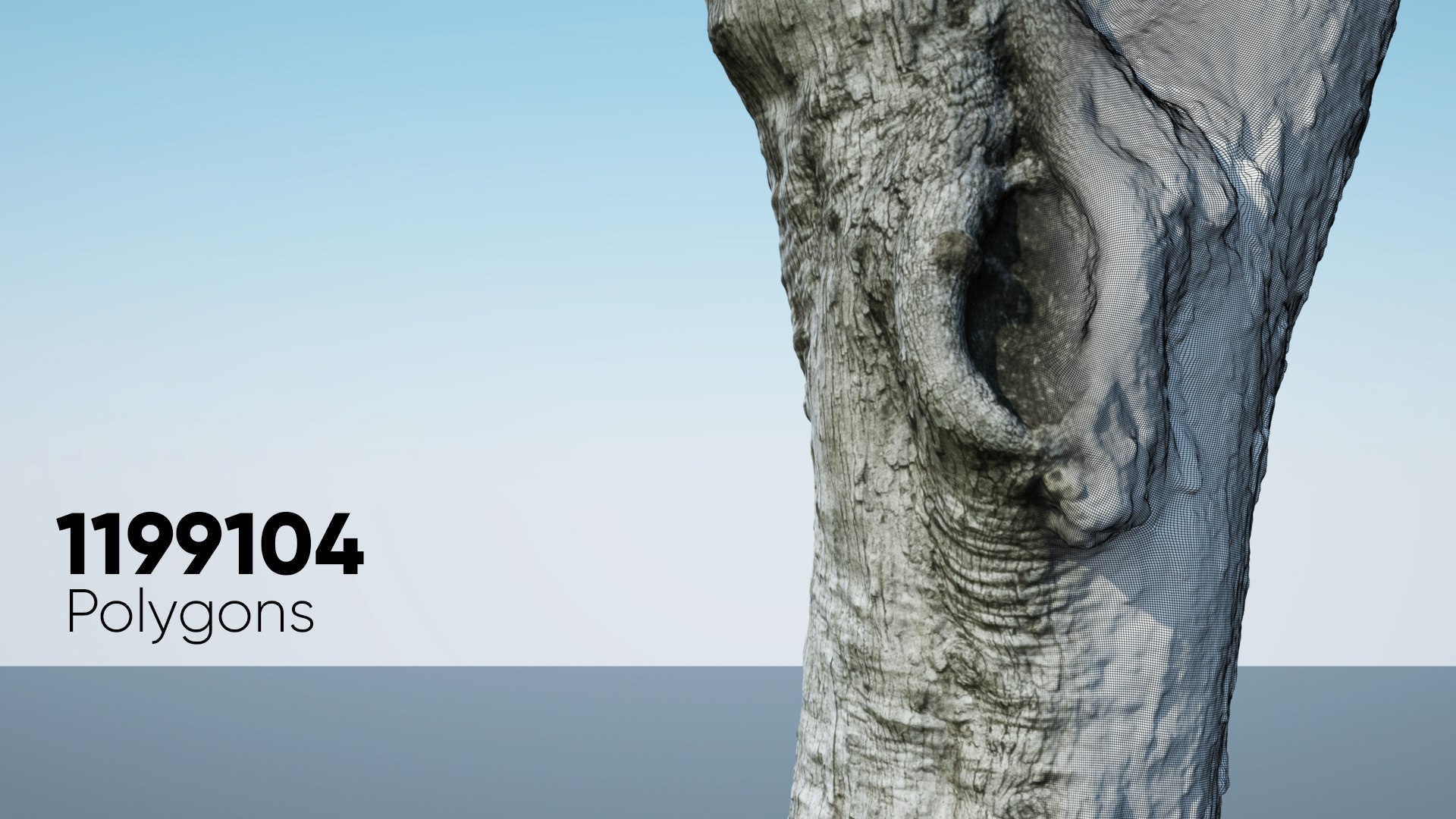 Tree Trunk - 3D Model - TurboSquid 1459646