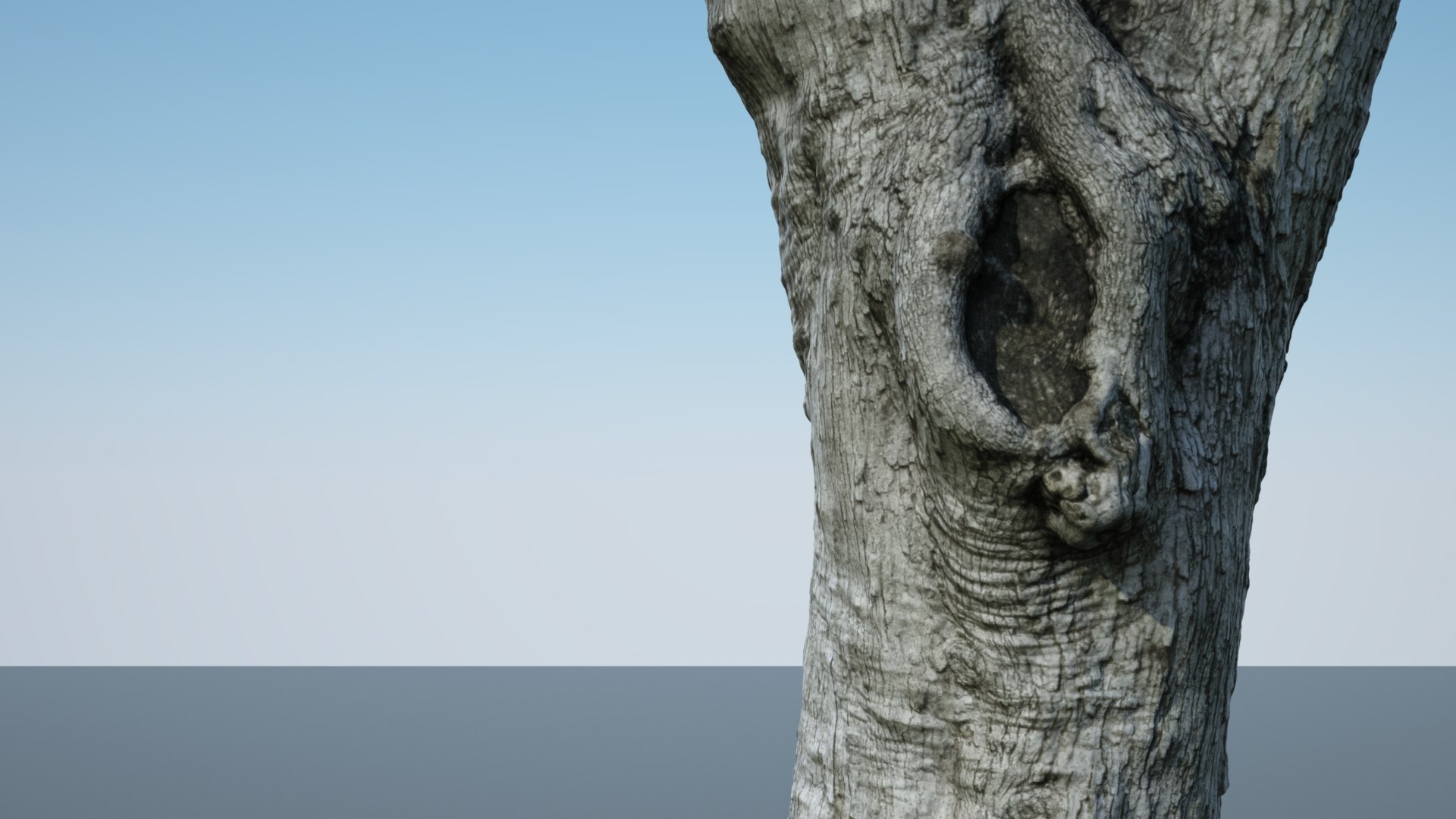 Tree Trunk - 3D Model - TurboSquid 1459646