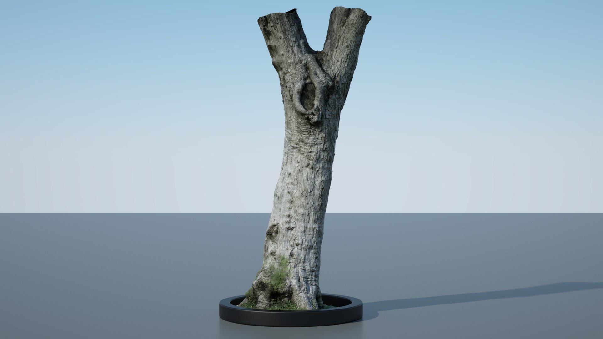 Tree Trunk - 3D Model - TurboSquid 1459646
