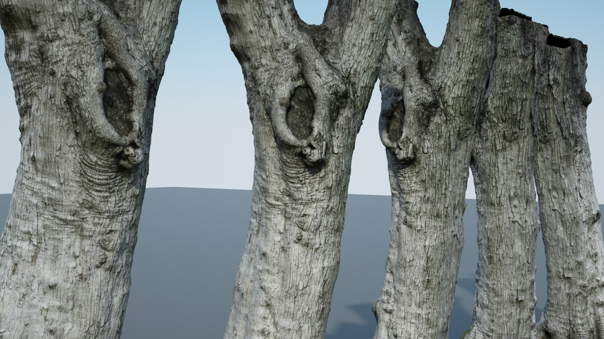 Tree Trunk - 3D Model - TurboSquid 1459646