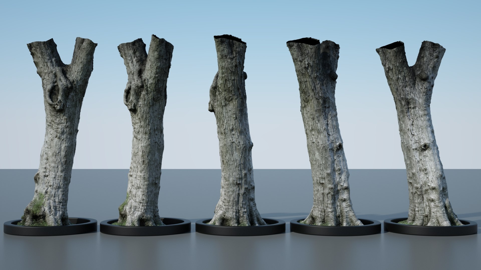 Tree Trunk - 3D Model - TurboSquid 1459646