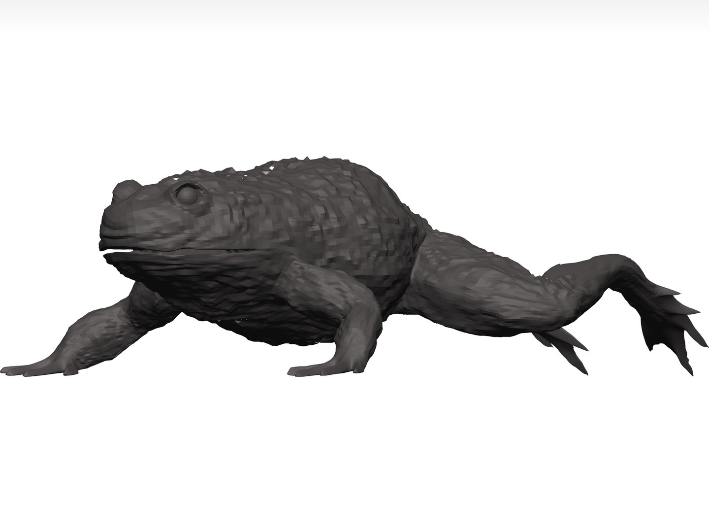 3D Bullfrog Stl - TurboSquid 1774192