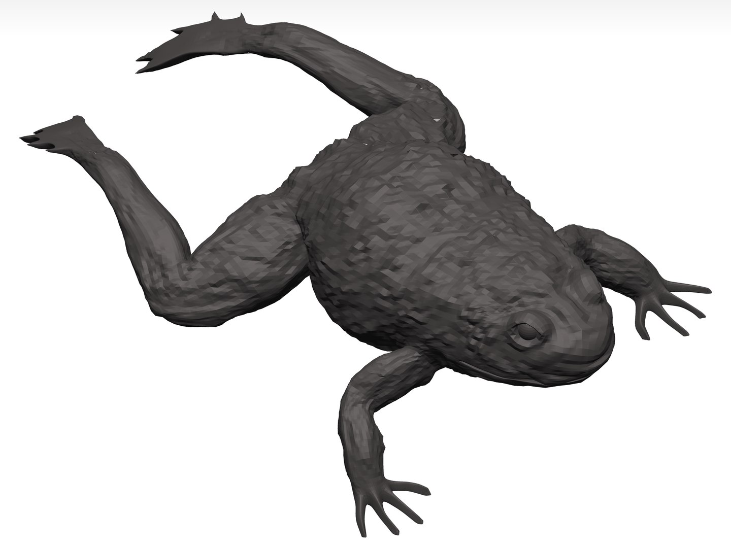 3D Bullfrog Stl - TurboSquid 1774192