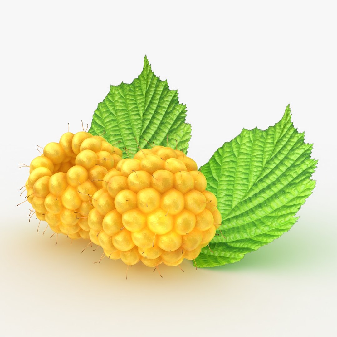 3d realistic raspberry set