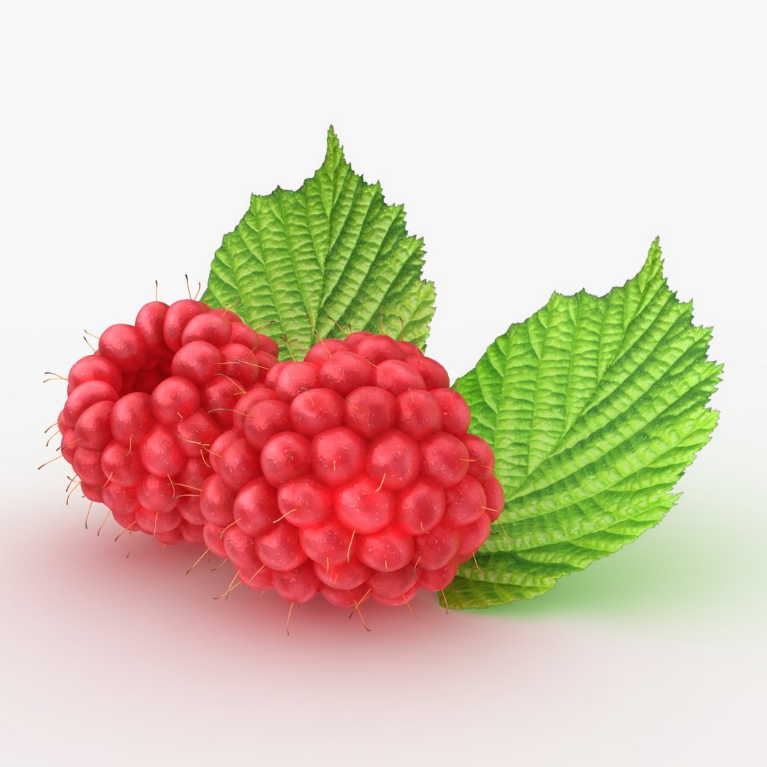 3d realistic raspberry set