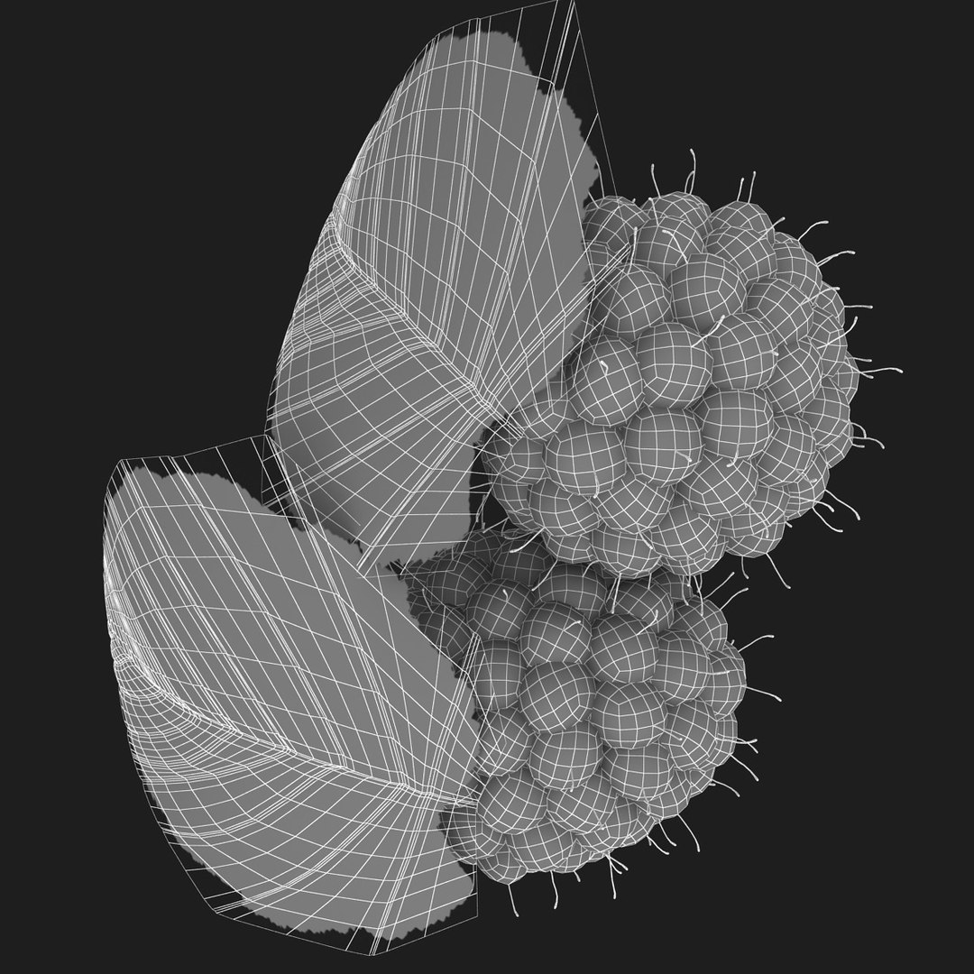 3d realistic raspberry set