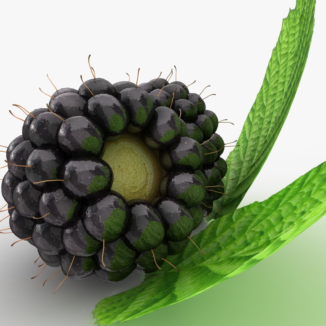 3d realistic raspberry set