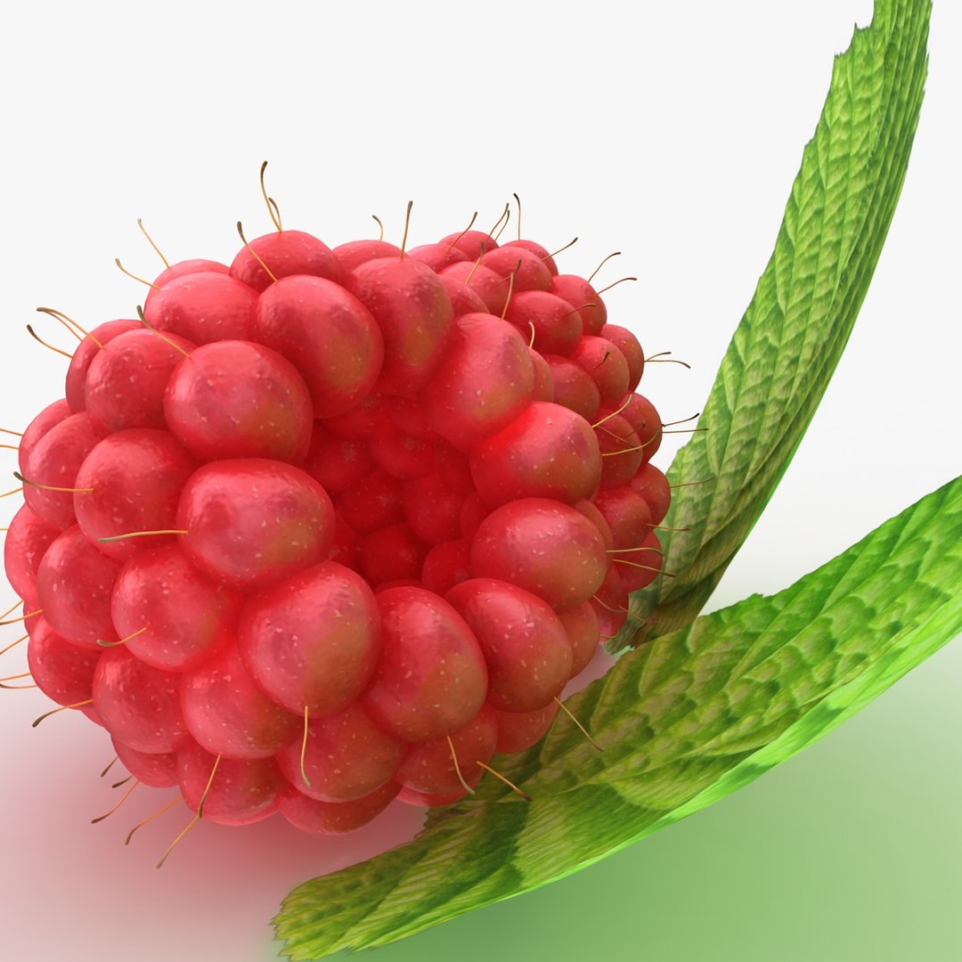 3d realistic raspberry set