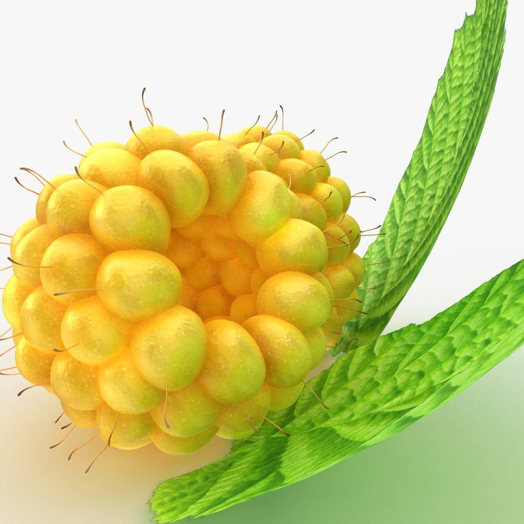 3d realistic raspberry set