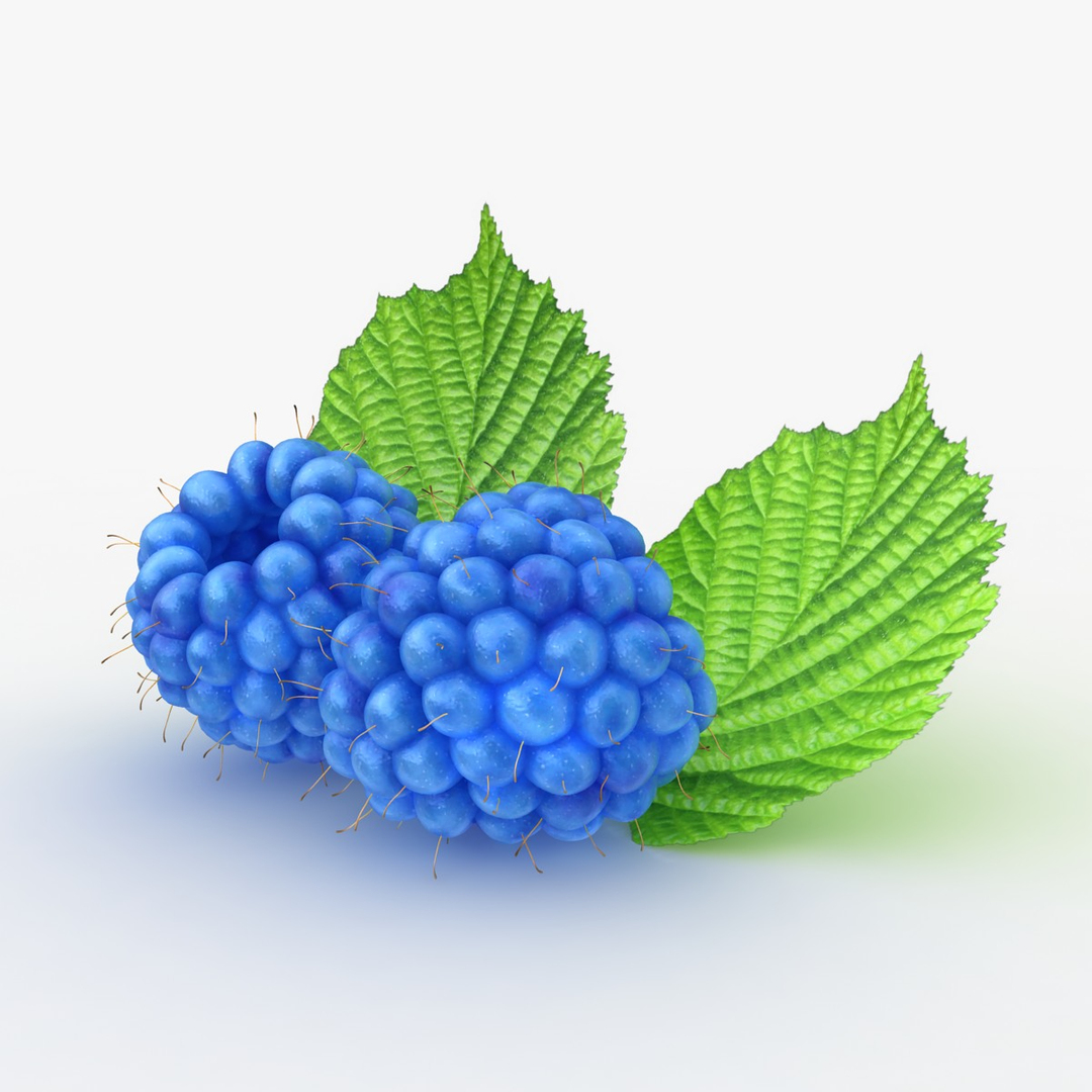 3d realistic raspberry set