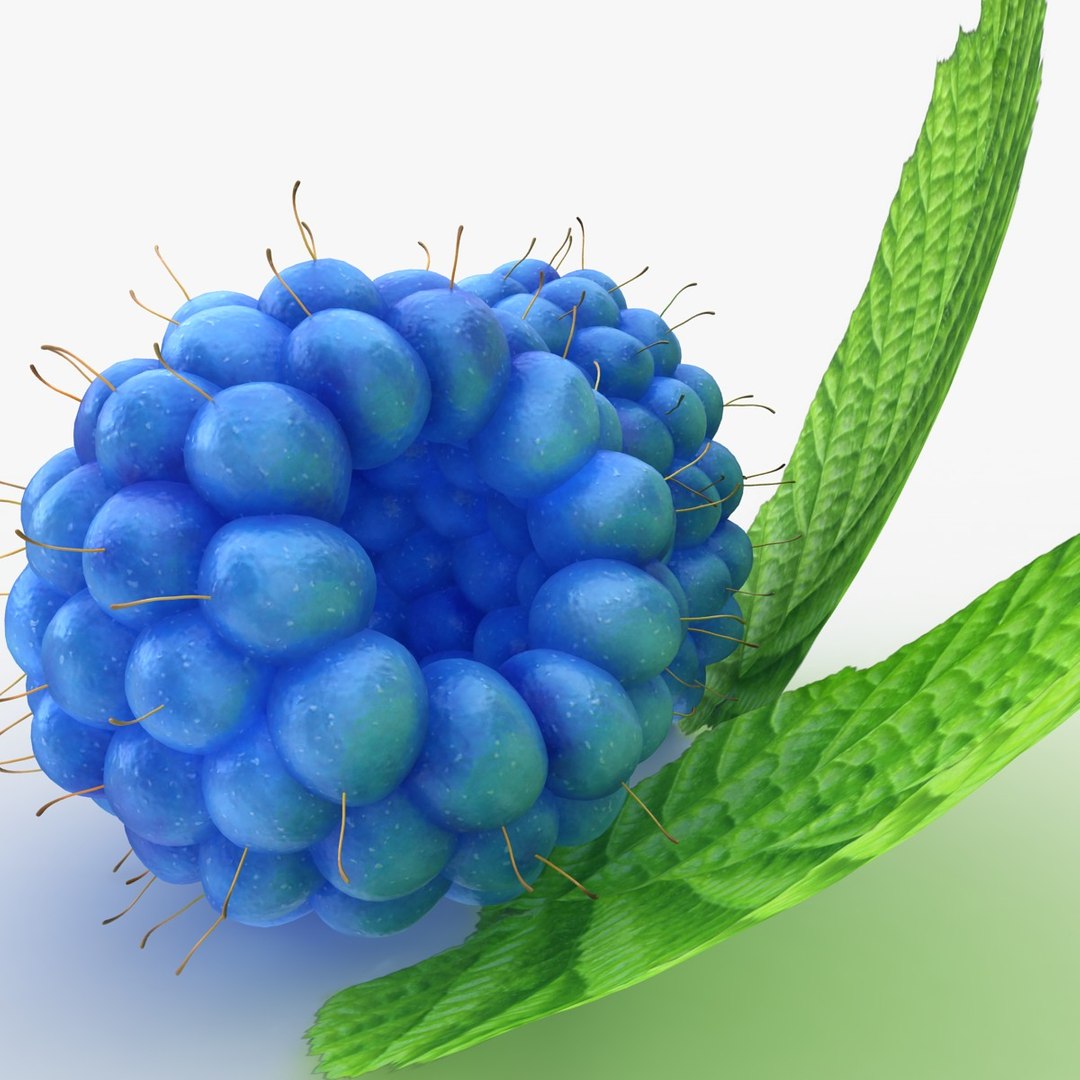 3d realistic raspberry set