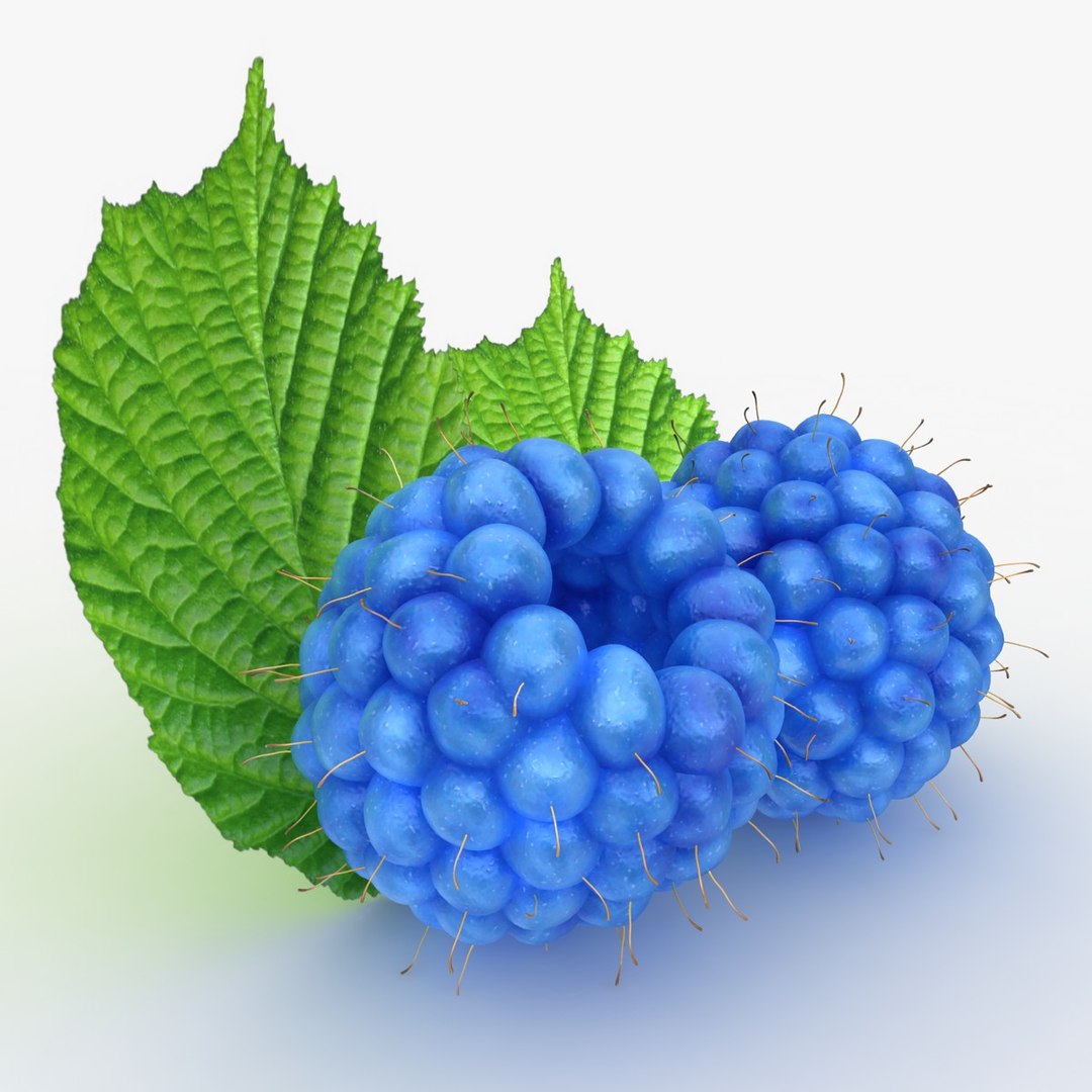 3d realistic raspberry set