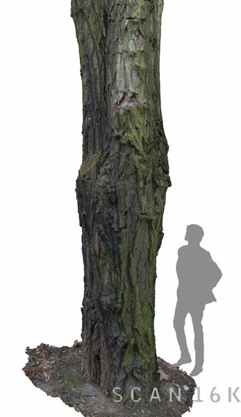 3ds max acacia tree 2