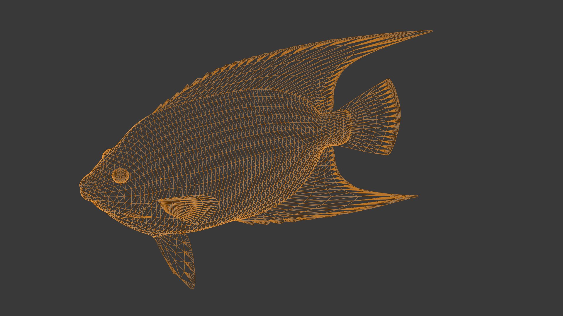 Queen Angelfish 3d Emperor Angelfish Download Free 3D Model By
