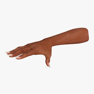 Rigged Hand 3D Models For Download | TurboSquid