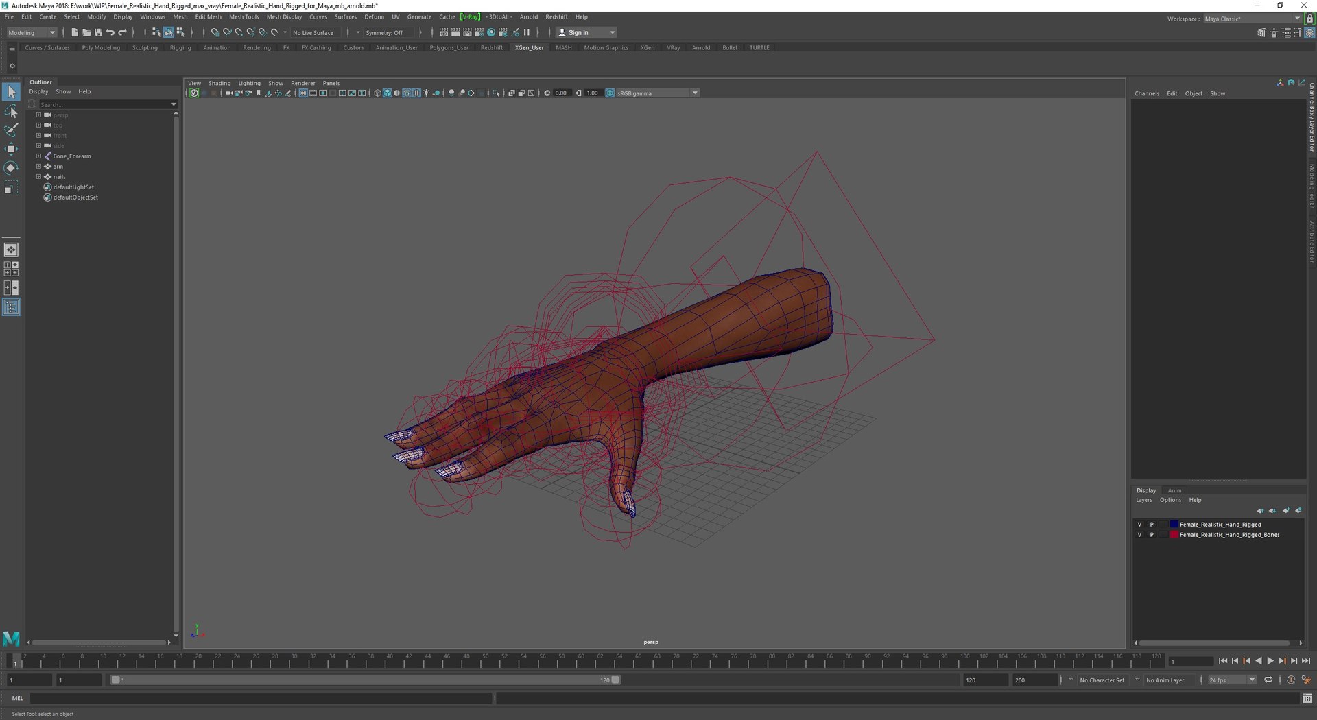 Female Realistic Hand Rigged For Maya 3D Model - TurboSquid 2371562