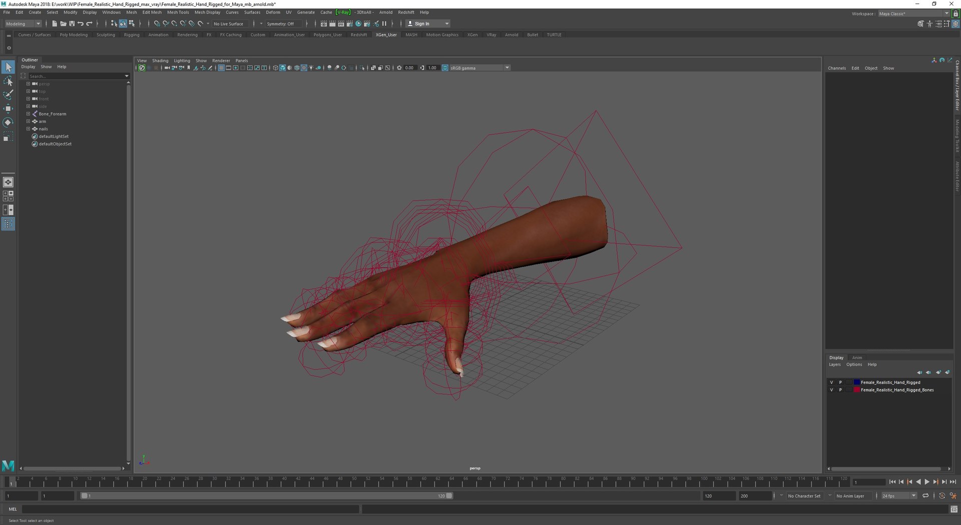Female Realistic Hand Rigged For Maya 3D Model - TurboSquid 2371562