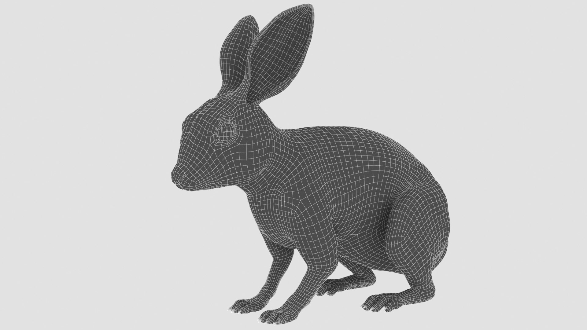 3D White Rabbit - TurboSquid 1796325