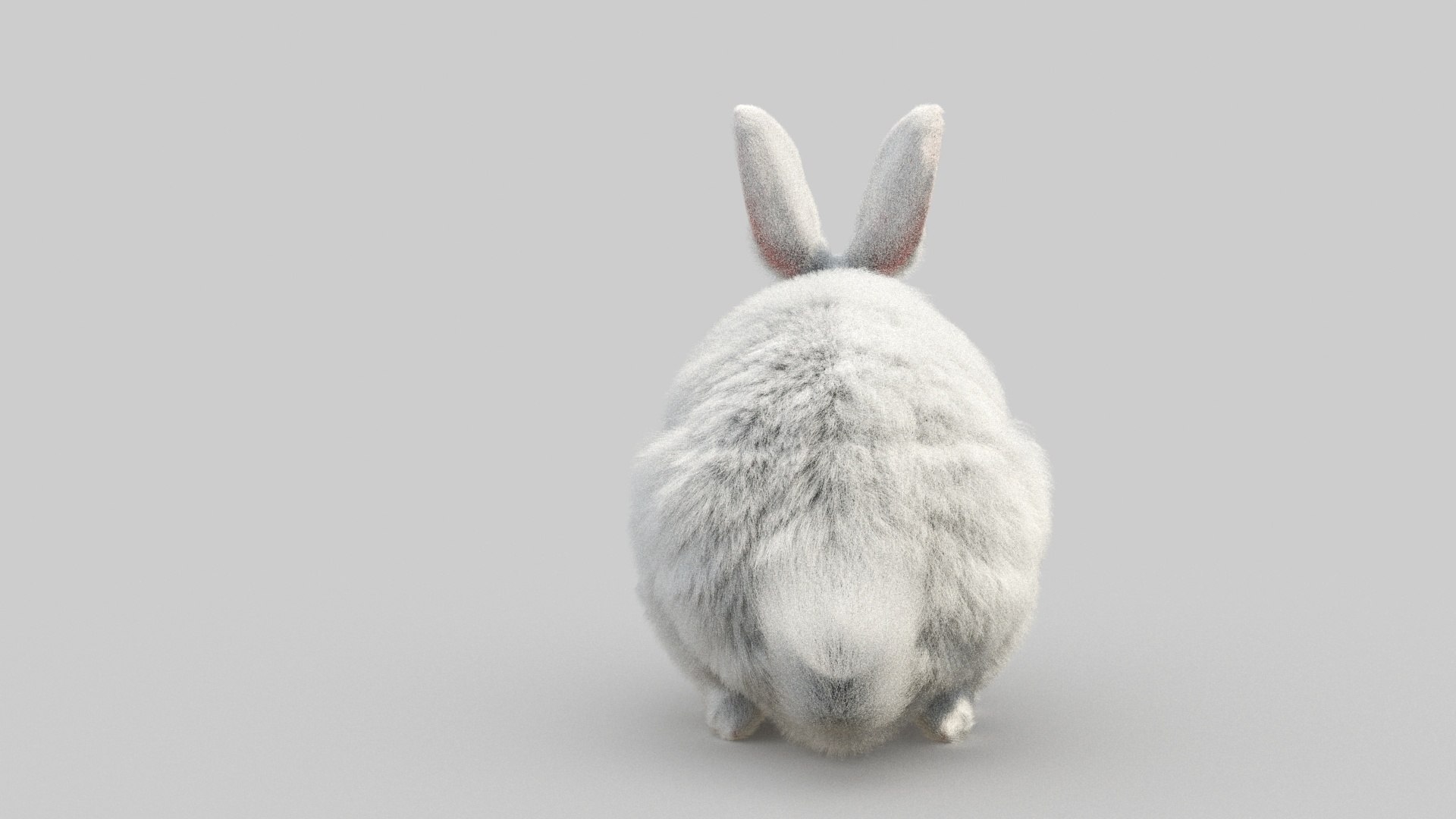 3D White Rabbit - TurboSquid 1796325