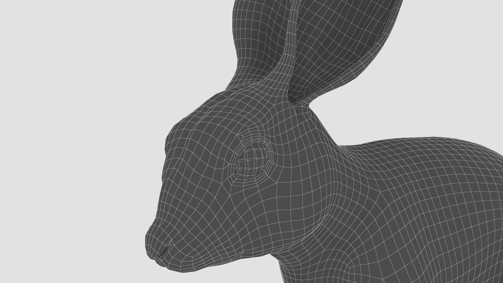 3D White Rabbit - TurboSquid 1796325