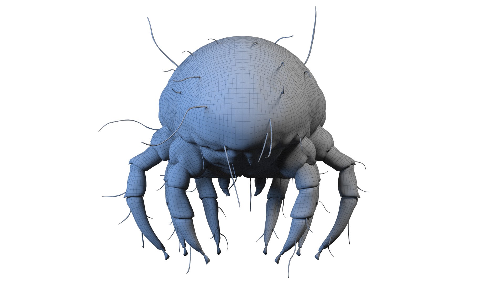 Dust Mite 3D - TurboSquid 1962273