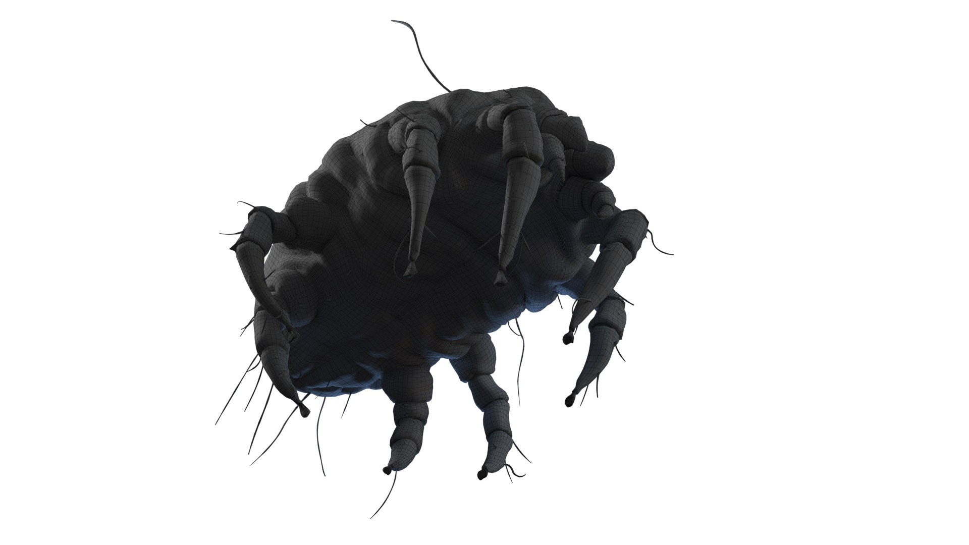 Dust Mite 3D - TurboSquid 1962273