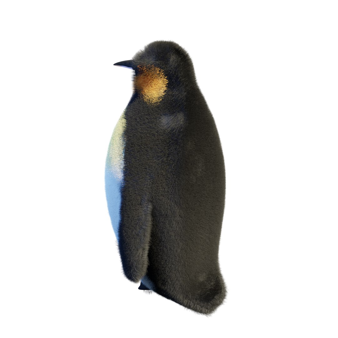 3D Rigged Penguin Model - TurboSquid 1637878
