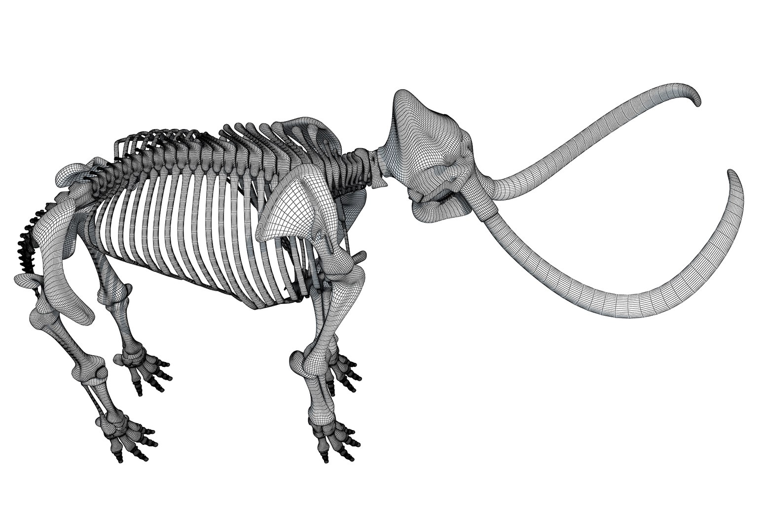 Mammoth Skeleton Model - TurboSquid 1233399
