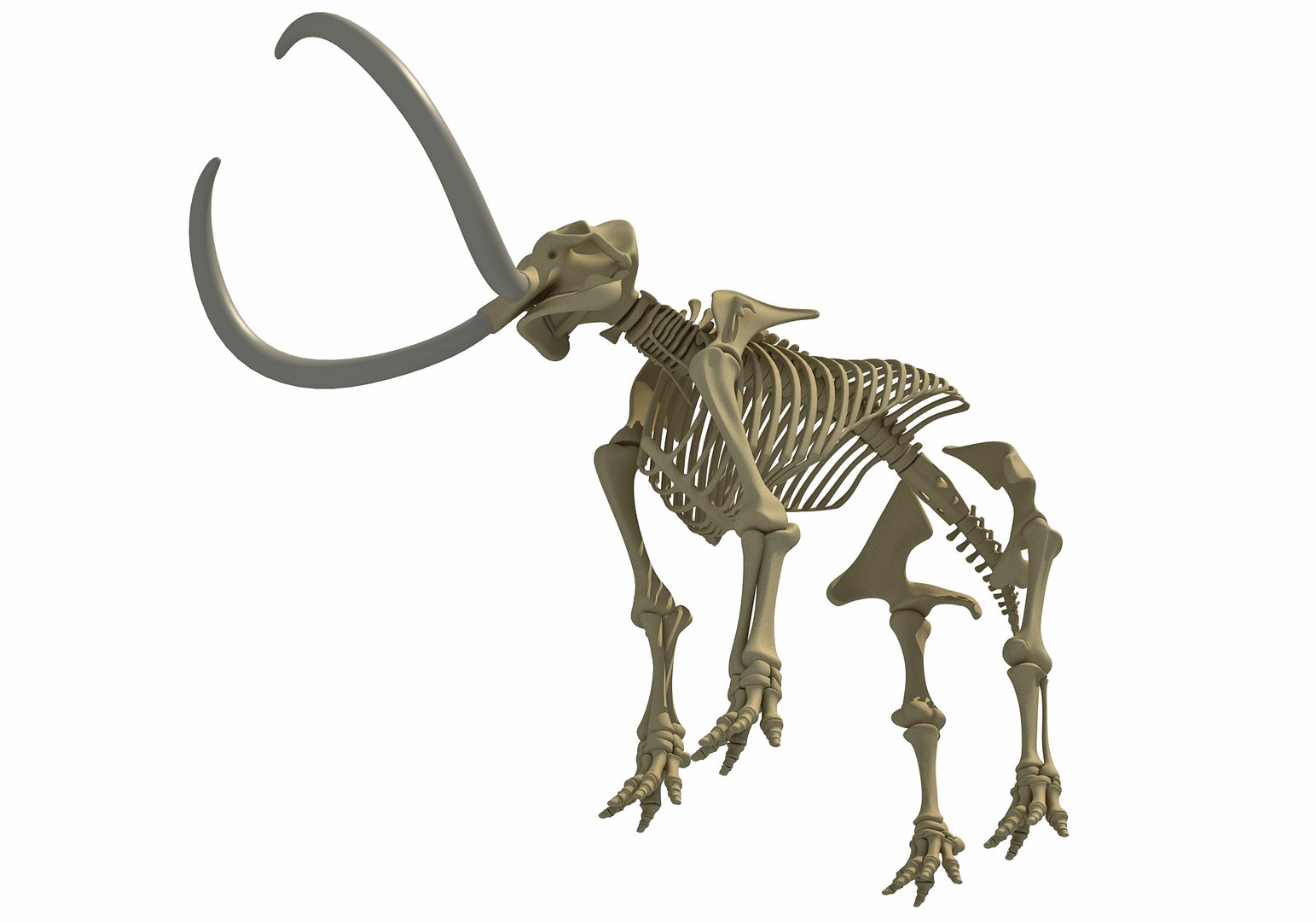 Mammoth Skeleton Model - TurboSquid 1233399