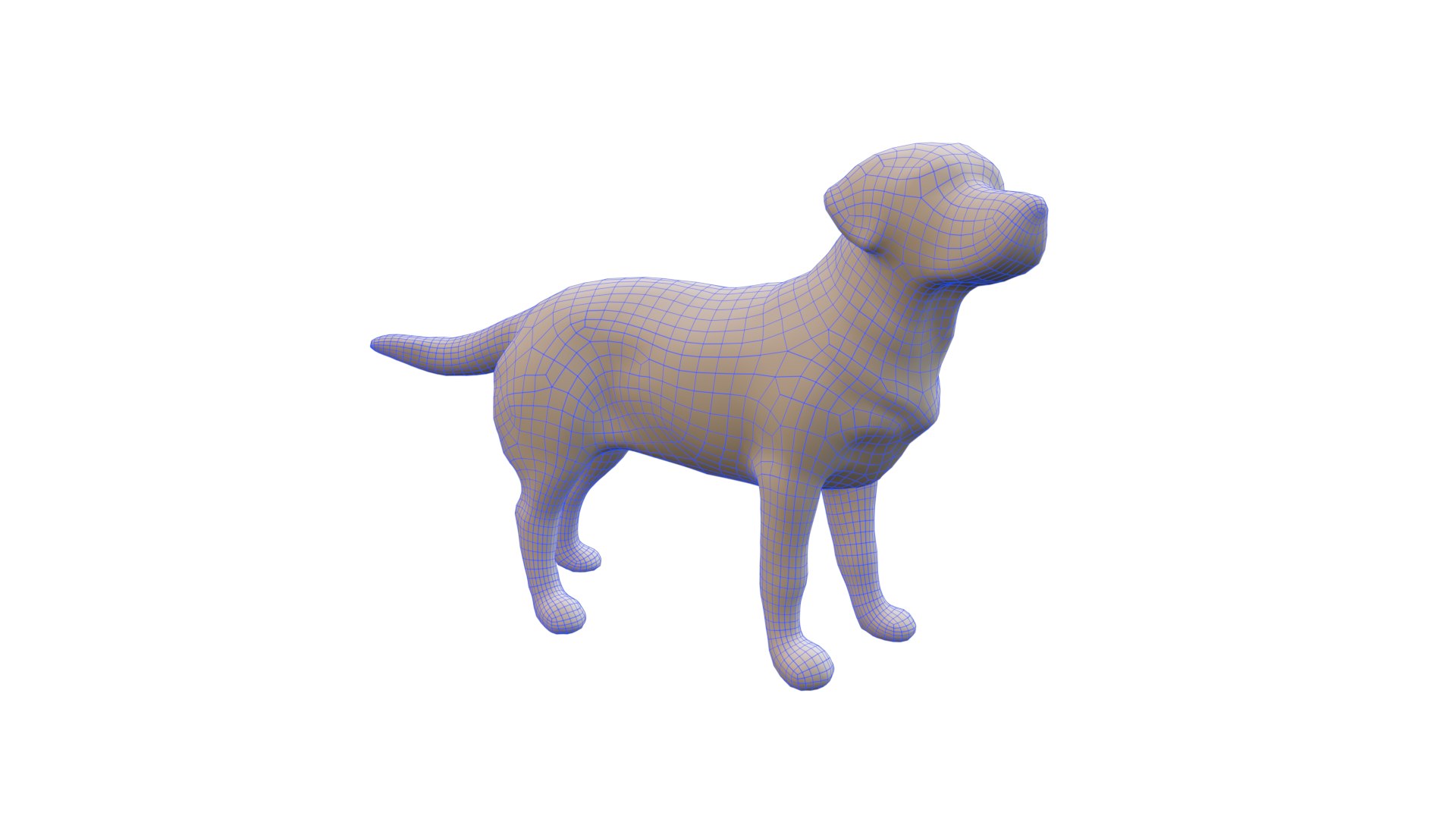 Labrador 3D Model - TurboSquid 2188654