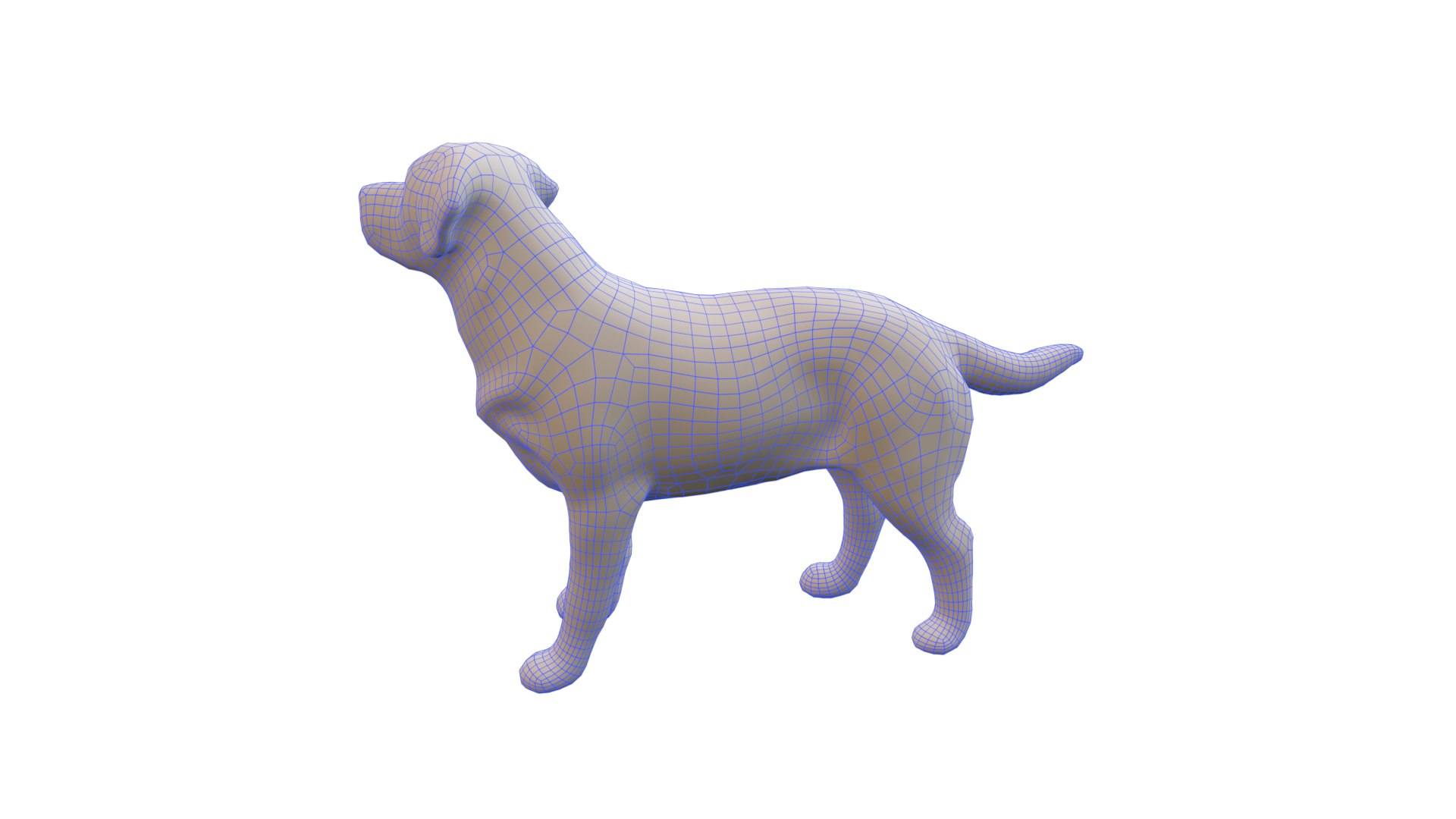 Labrador 3D Model - TurboSquid 2188654