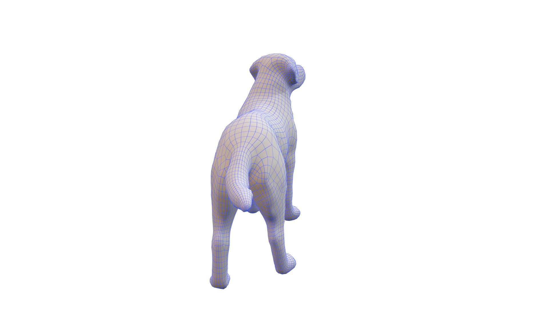Labrador 3D Model - TurboSquid 2188654