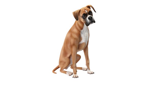 modelo 3d Perro Boxer sentado para impresión 3D - TurboSquid 2282956